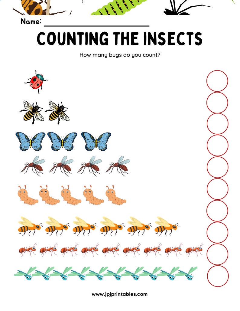 Learn to Count, Learn Your Colors and Much More, School Worksheets ...