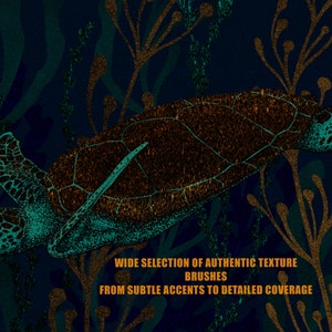 Subtle Turtle Procreate Brushes - Etsy