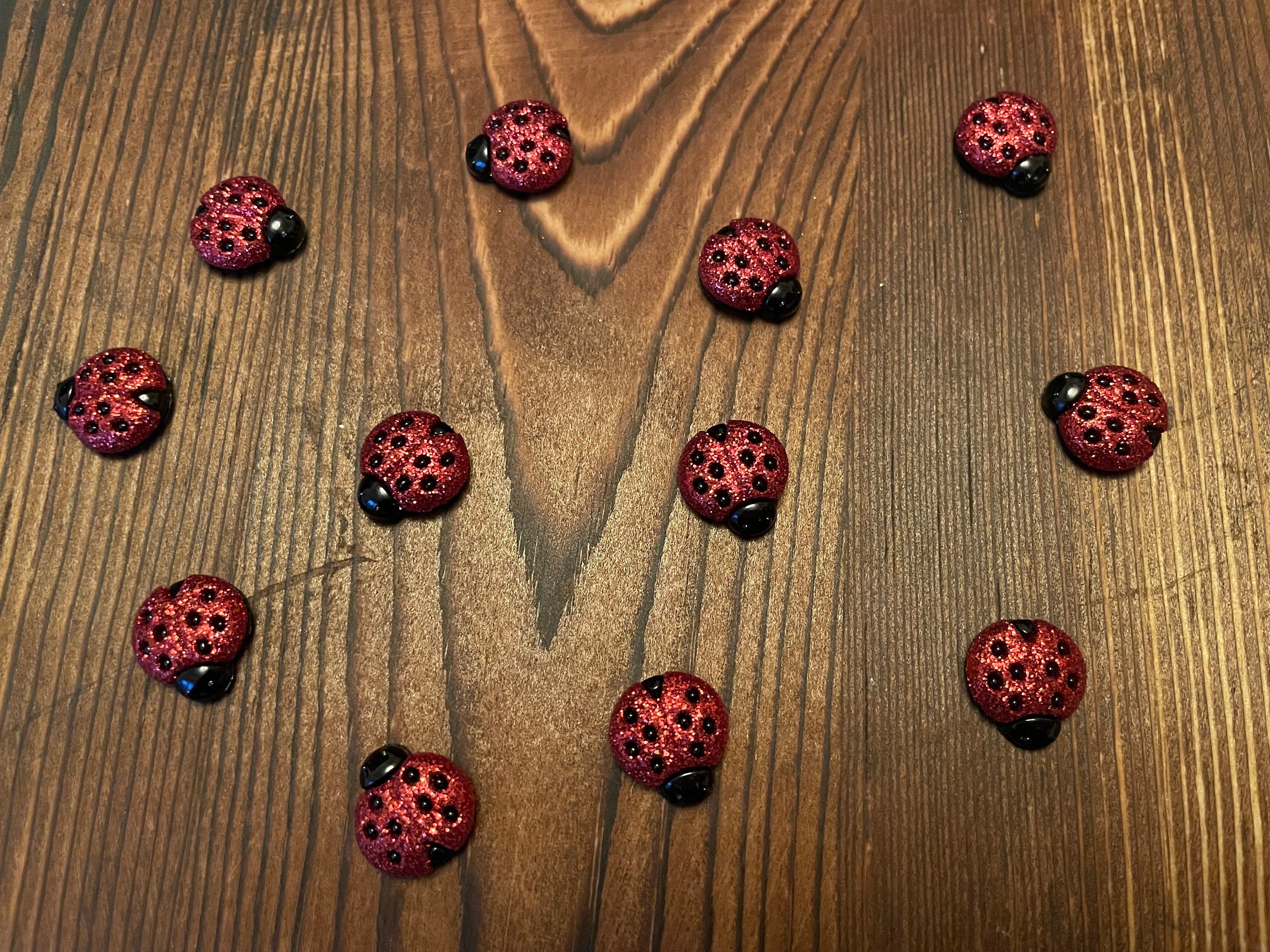Glitter Ladybug Magnets or Push Pins - Etsy