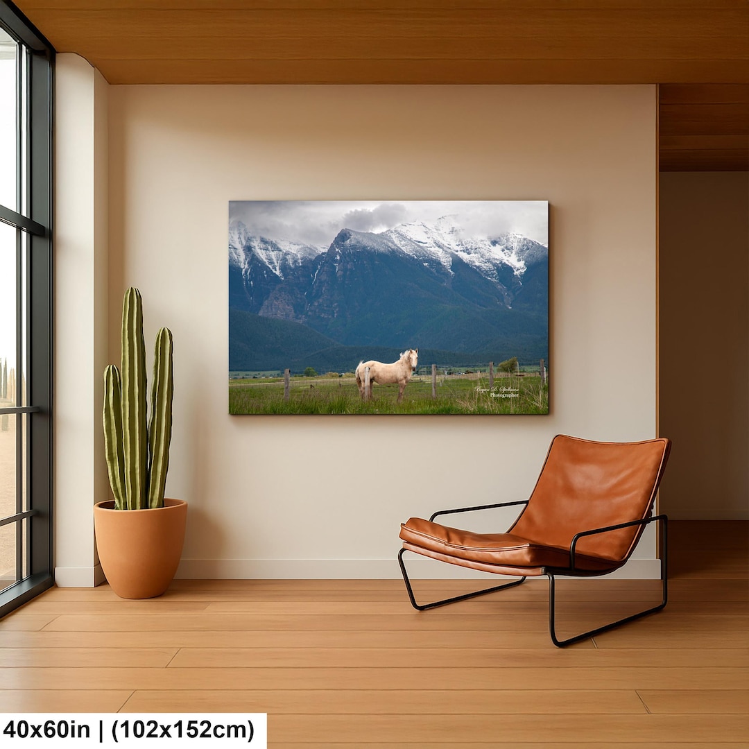 American Cream Draft Horse Wall Art – Mission Mountains Montana ...