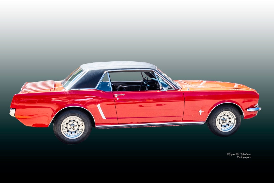 1965 Ford Mustang, 1960 American Cars, Classic Pony Car Photo, Glossy ...