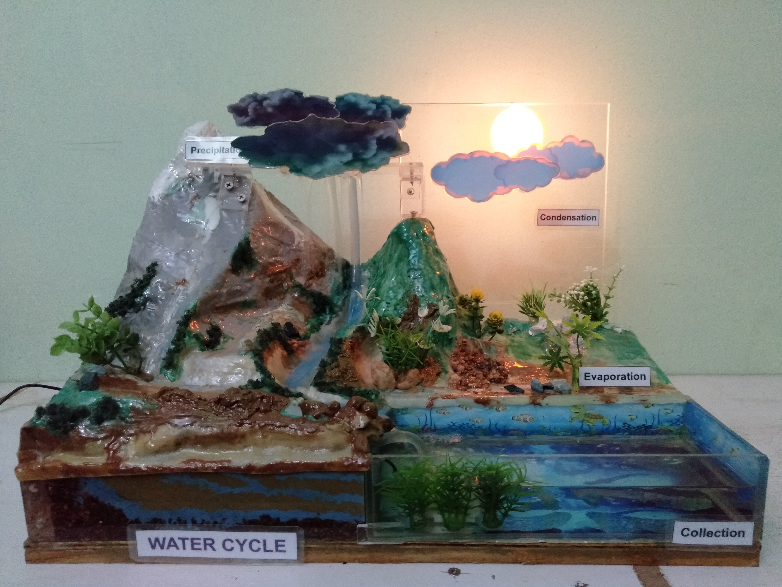 Water Cycle Working Model