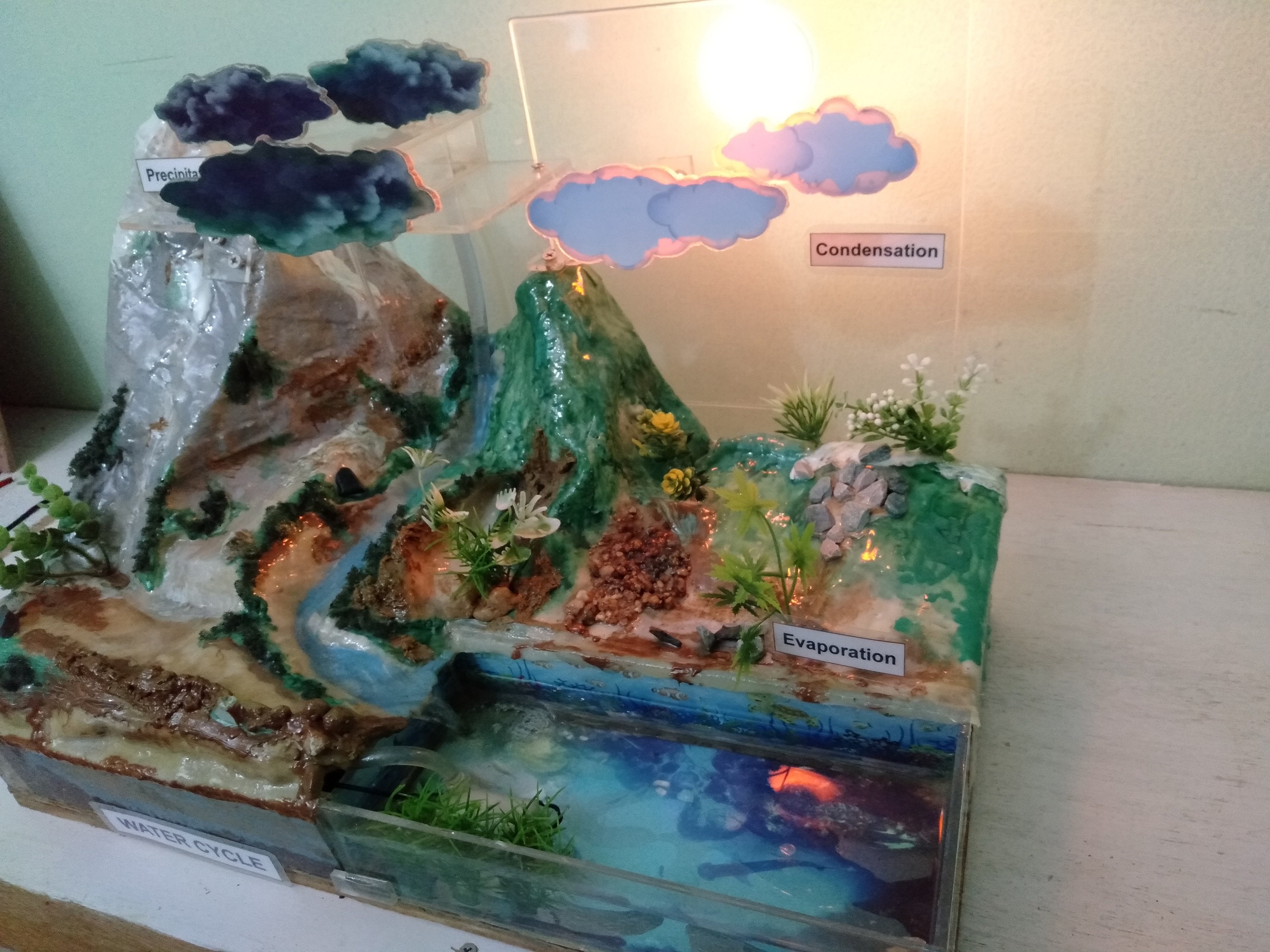 Water Cycle Working Model