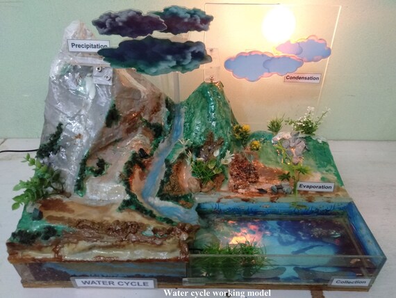 Water Cycle Working Model