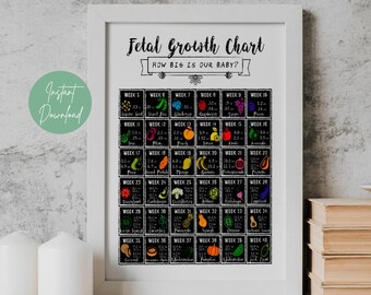 Baby to Bump Chart - Etsy