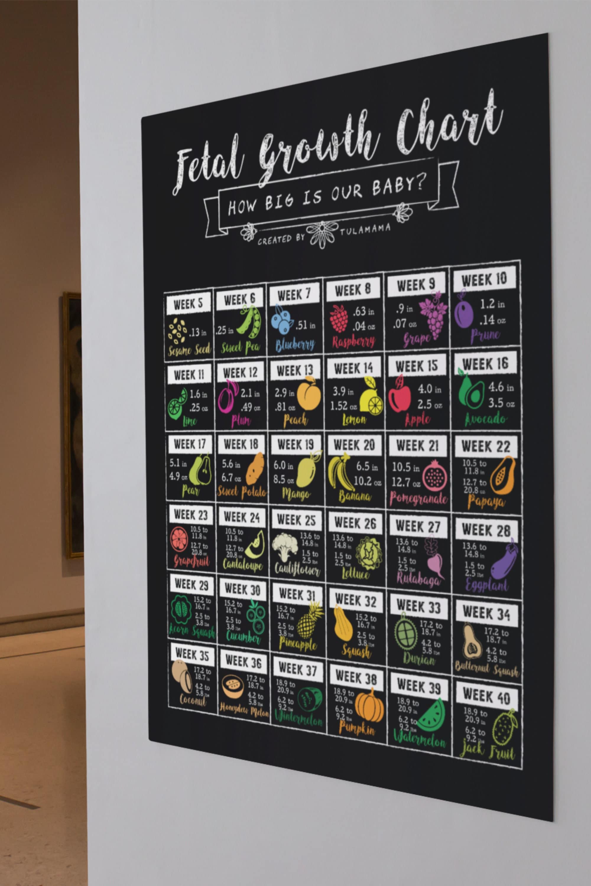 Baby Growth Chart Week by Week Pregnancy Countdown Poster 18x24 Bump to ...