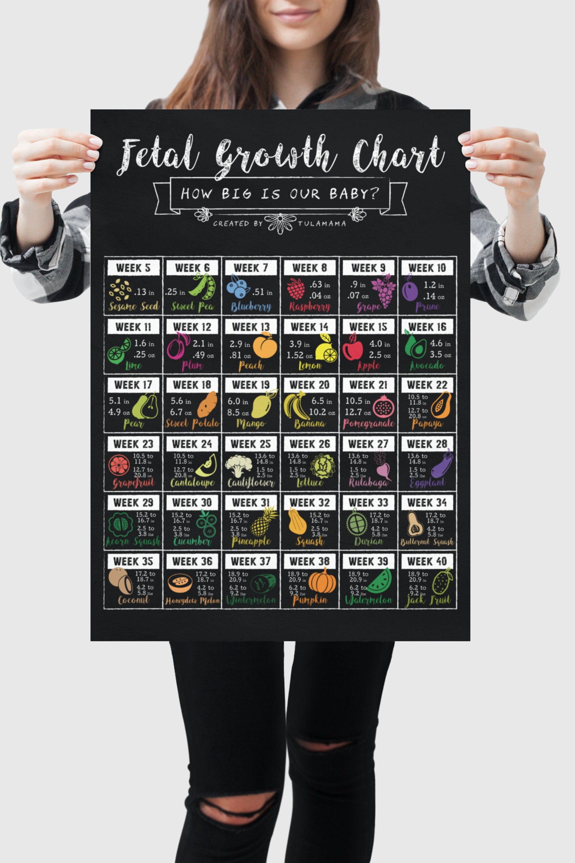 Baby Growth Chart Week by Week Pregnancy Countdown Poster 18x24 Bump to ...