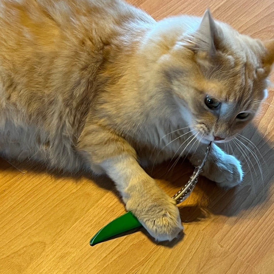 The Prey Cat Toy - (set of 2) Leather, Feather and Catnip Flipping ...