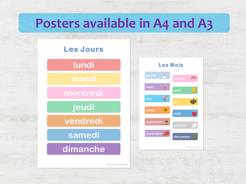 French Educational Poster Set / French Classroom Posters / - Etsy