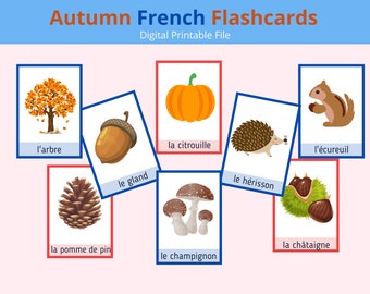 French Flashcards - Etsy
