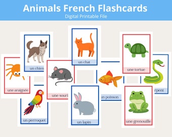 French School Theme Flashcards for Kids French Vocabulary Practice for ...