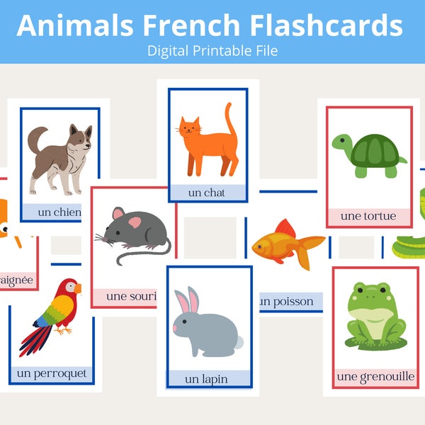 France Flashcards - Etsy
