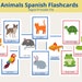 Animals Spanish Vocabulary Flashcards - Etsy
