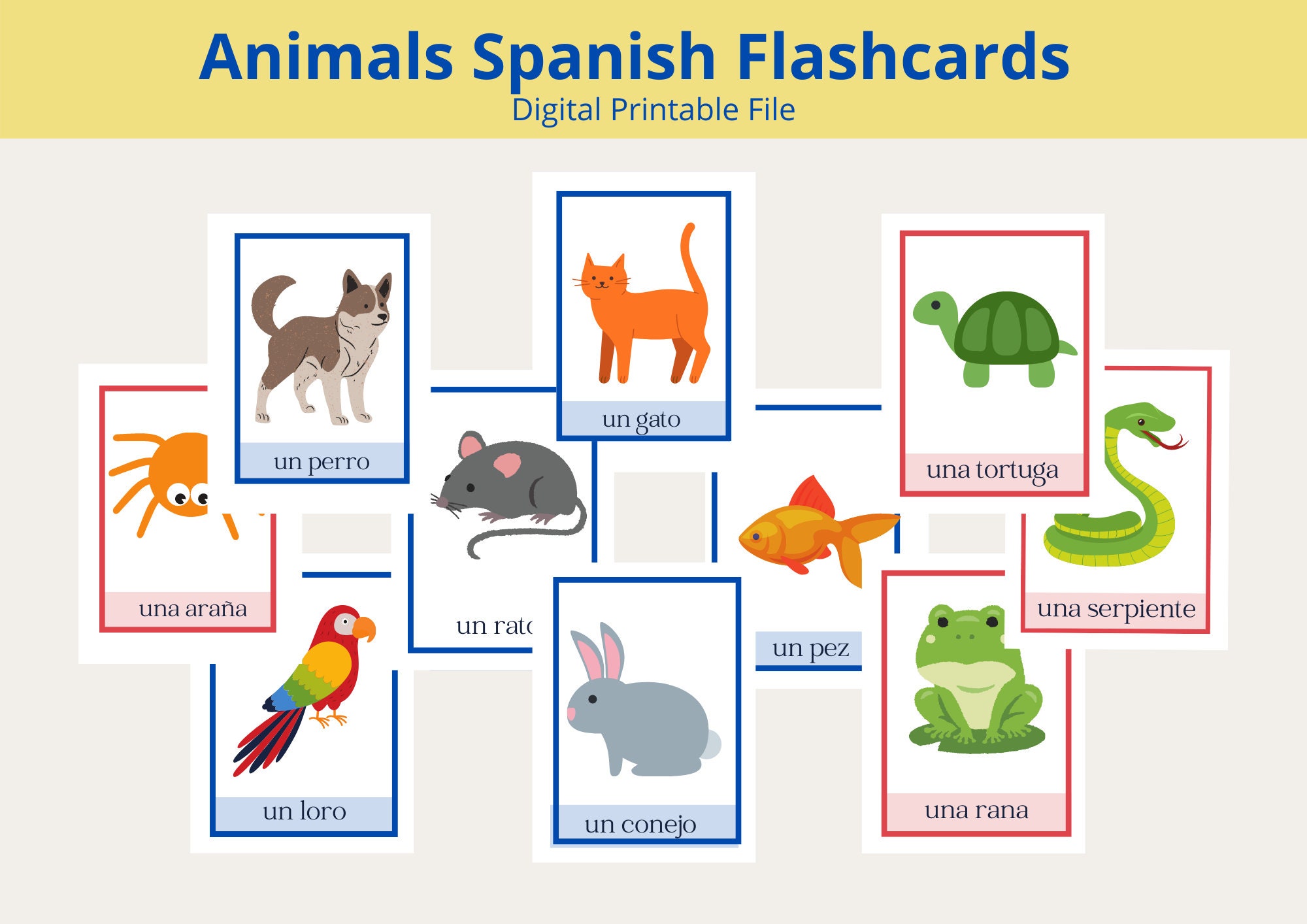 Animals Spanish Vocabulary Flashcards - Etsy