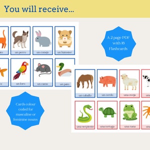 Animals Spanish Vocabulary Flashcards - Etsy