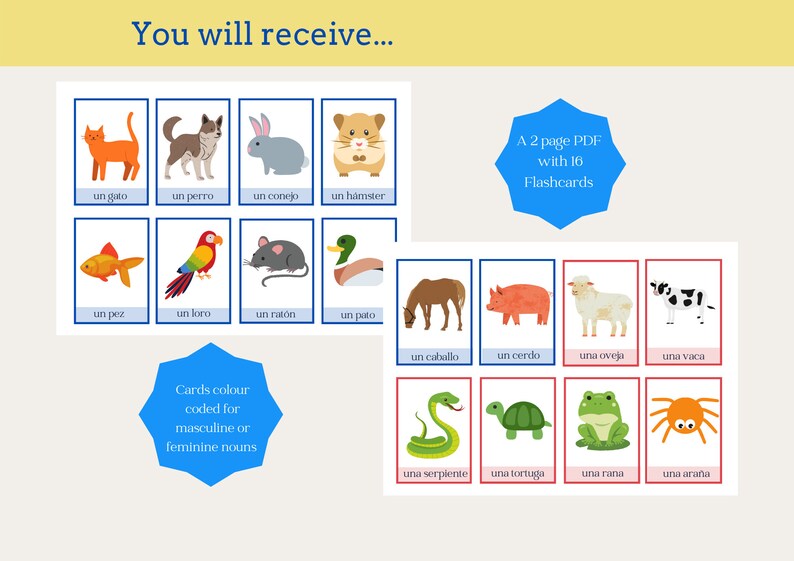 Animals Spanish Vocabulary Flashcards - Etsy