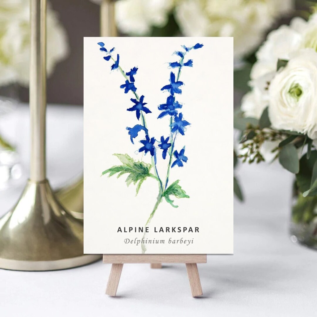 Wildflower Table Cards/ Floral Table Cards/ Watercolor Table Cards ...