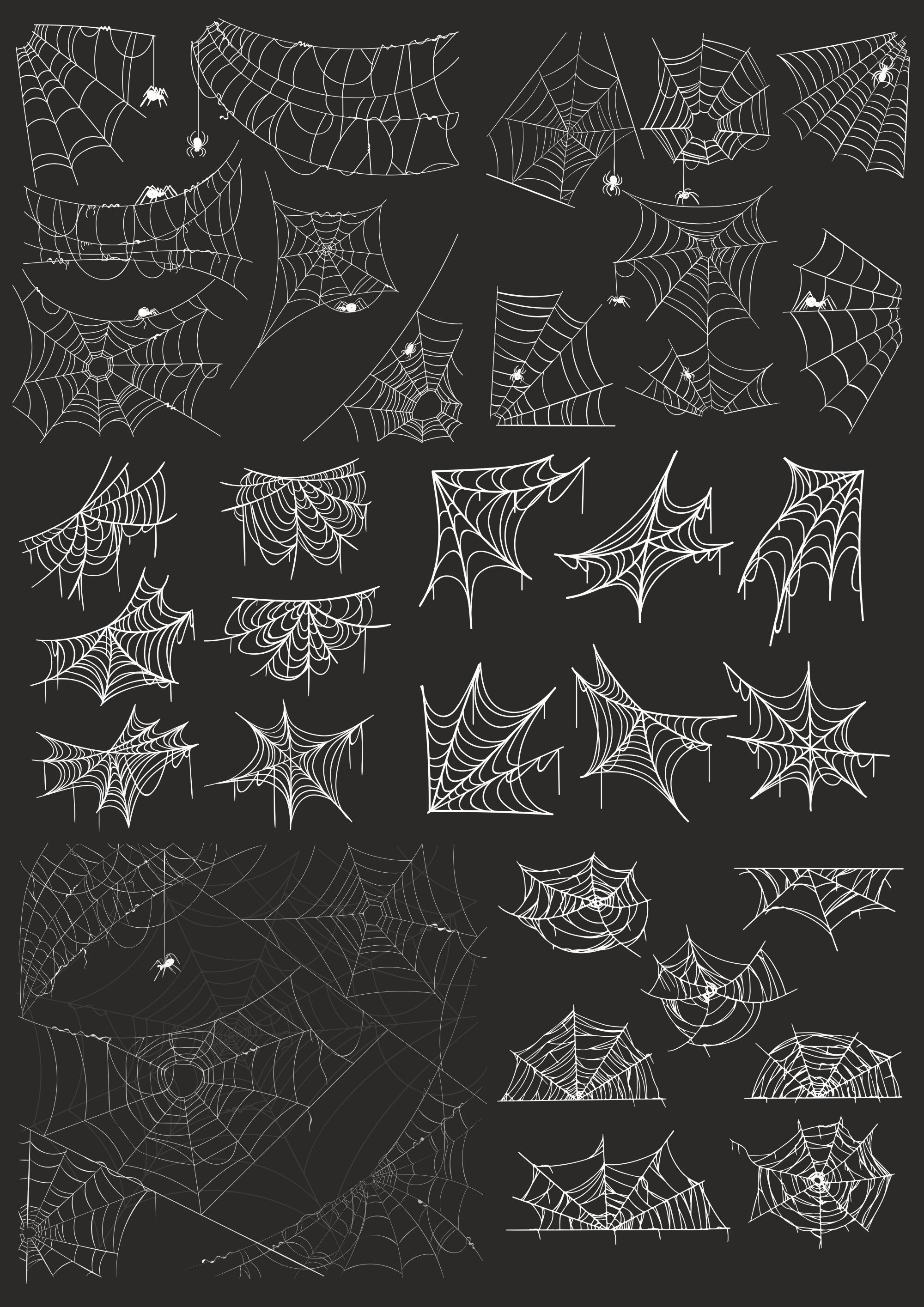 Spider Web Cobweb SVG PNG Individual Clipart Single Pages Printable ...