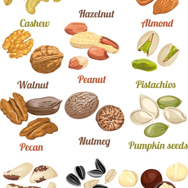 Nuts Svg - Etsy