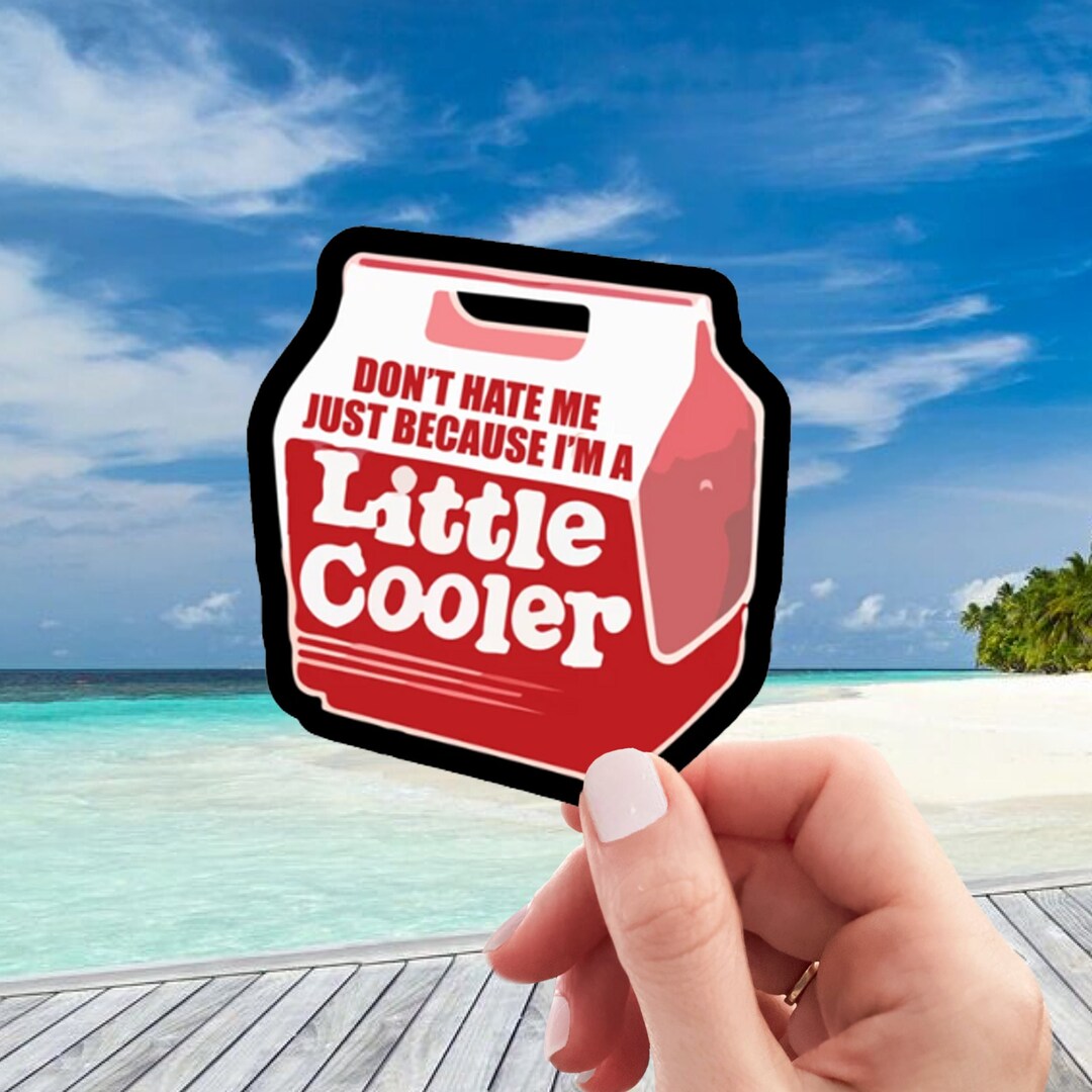 LITTLE COOLER STICKERS, Water Bottle Sticker, Funny Quote Stickers ...