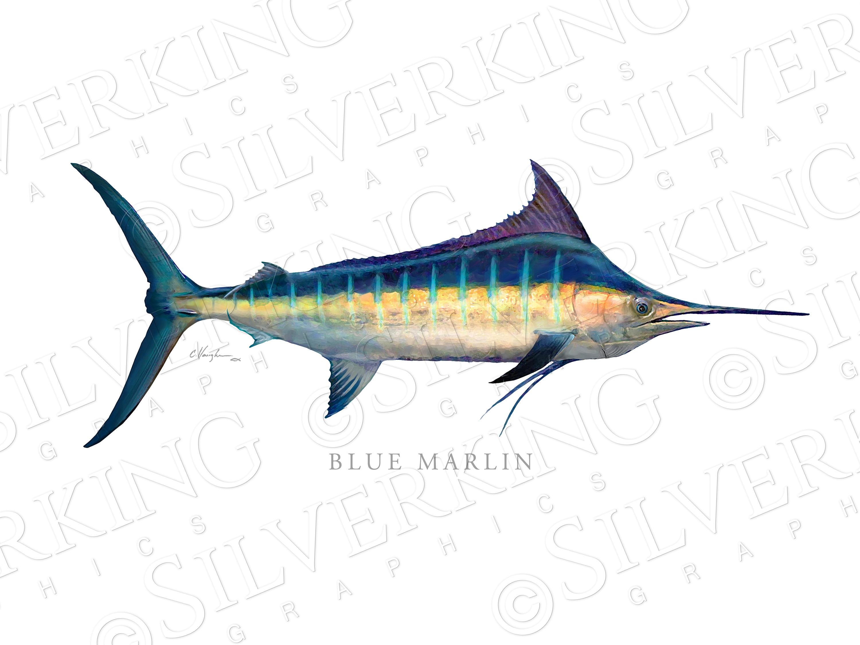 Blue Marlin Print, Coastal Art, Fine Art Print, Saltwater Gamefish ...