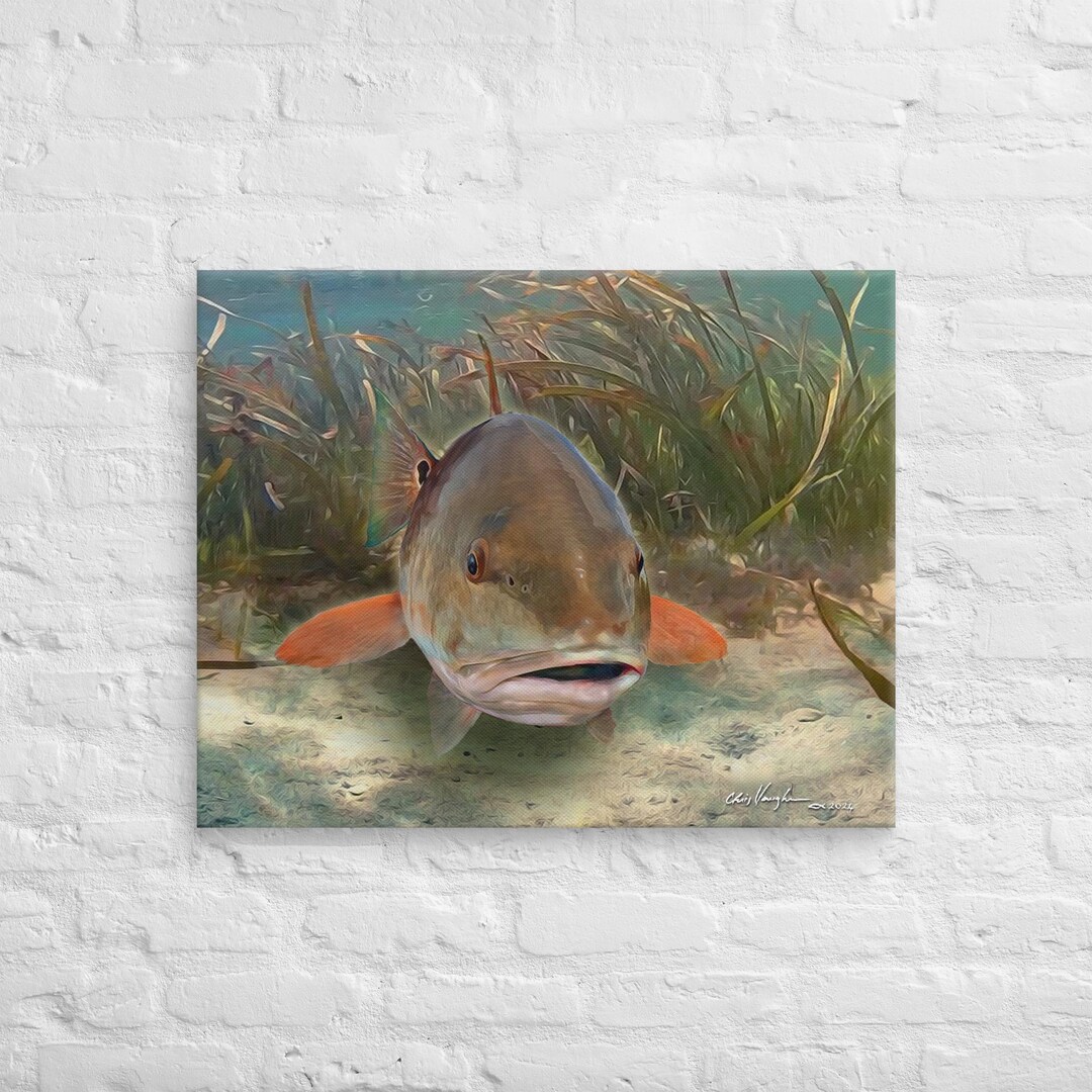 The Chilling Redfish Painting, Redfish Canvas Print, Gallery Wrapped ...