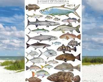 Florida Fish ID Card Florida Mini Fish ID Card | Waterproof Coral Reef ...
