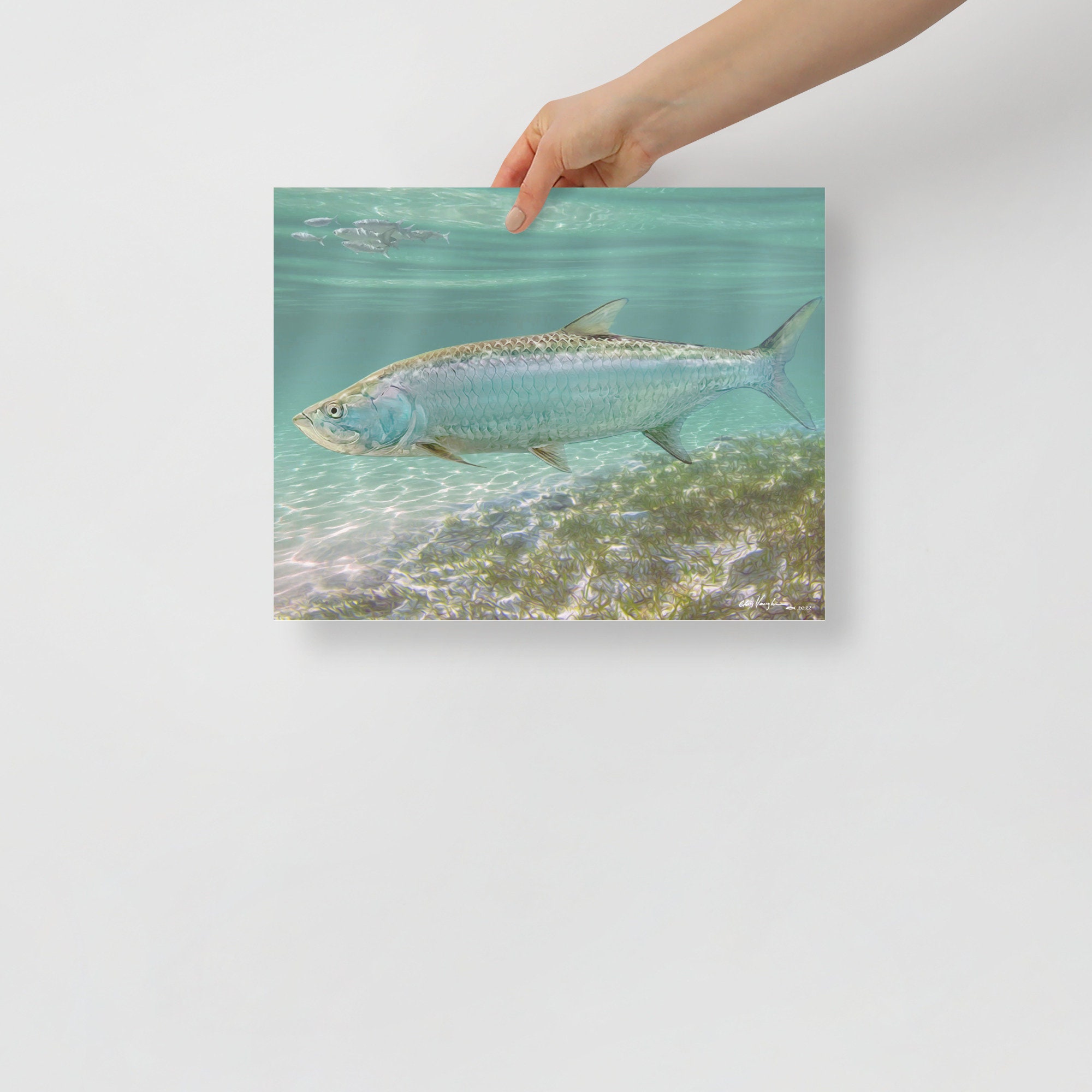 Tarpon Print Silverking Tarpon Poster Coastal Art Fine Art Print Fish ...