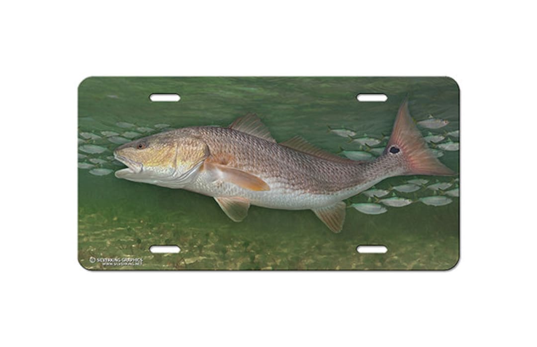 Redfish License Plate, Fisherman Decorative License Plate, Redfish ...