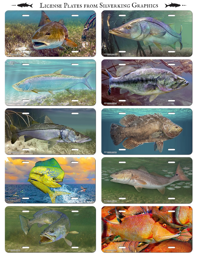 Redfish License Plate, Fisherman Decorative License Plate, Redfish ...