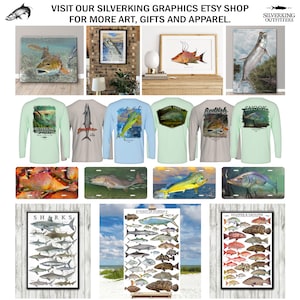 24x36 Coast of Florida Common Inshore & Nearshore Fishes Poster ...