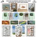 24x36 Coast of Florida Common Inshore & Nearshore Fishes Poster ...