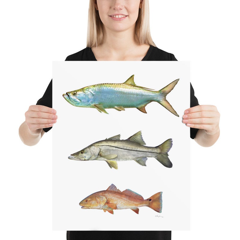 Saltwater Fish Art - Etsy