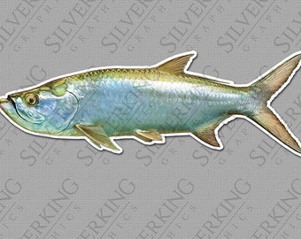 Tarpon Sticker - Etsy