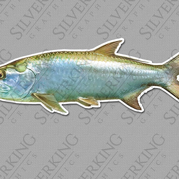 Tarpon - Etsy