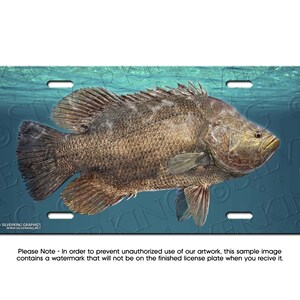 Fishing License Plate Fisherman Tripletail Decorative License Plate ...