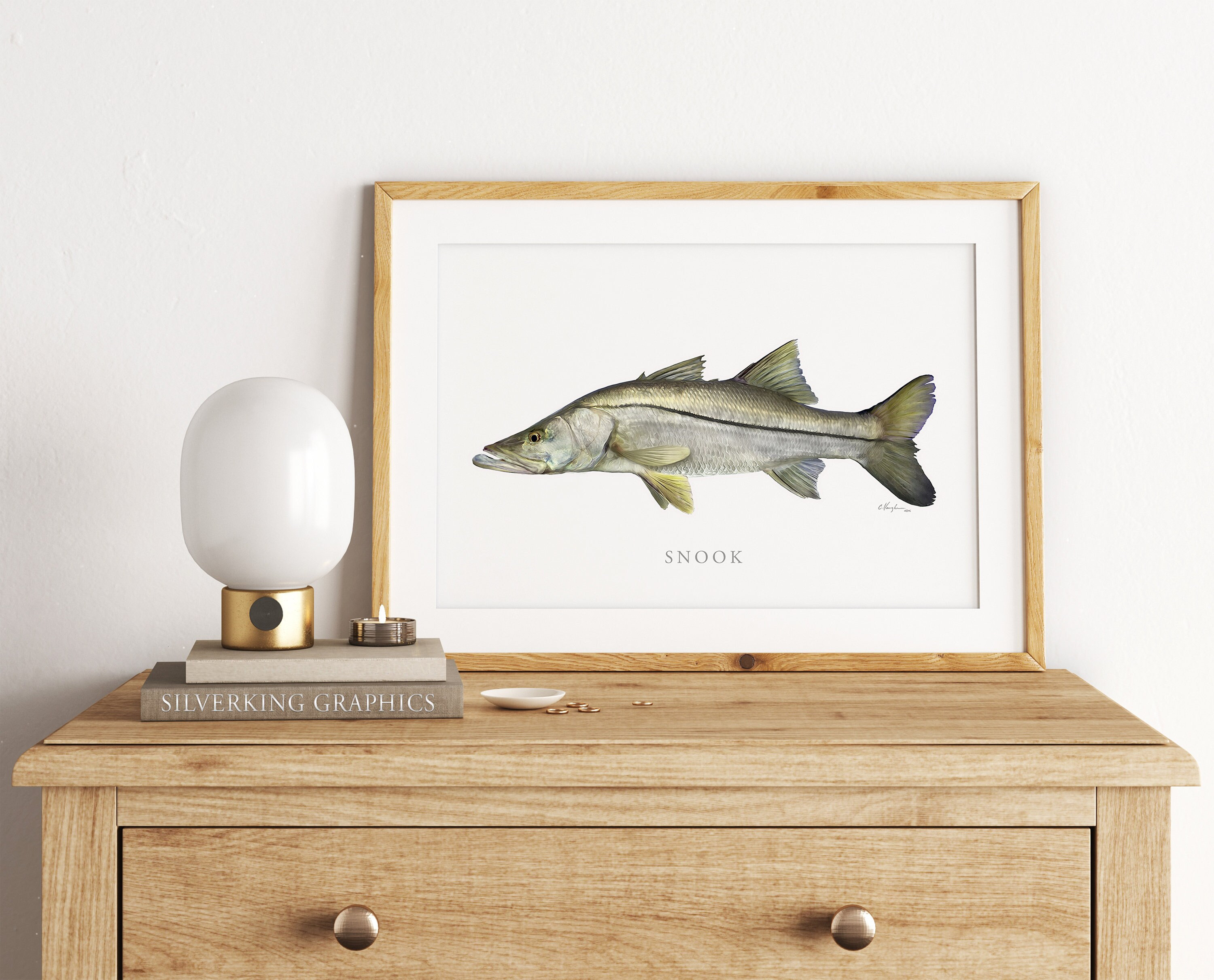 Snook Print, Robalo, Dogfish, Coastal Art, Fine Art Print, Fish Art ...
