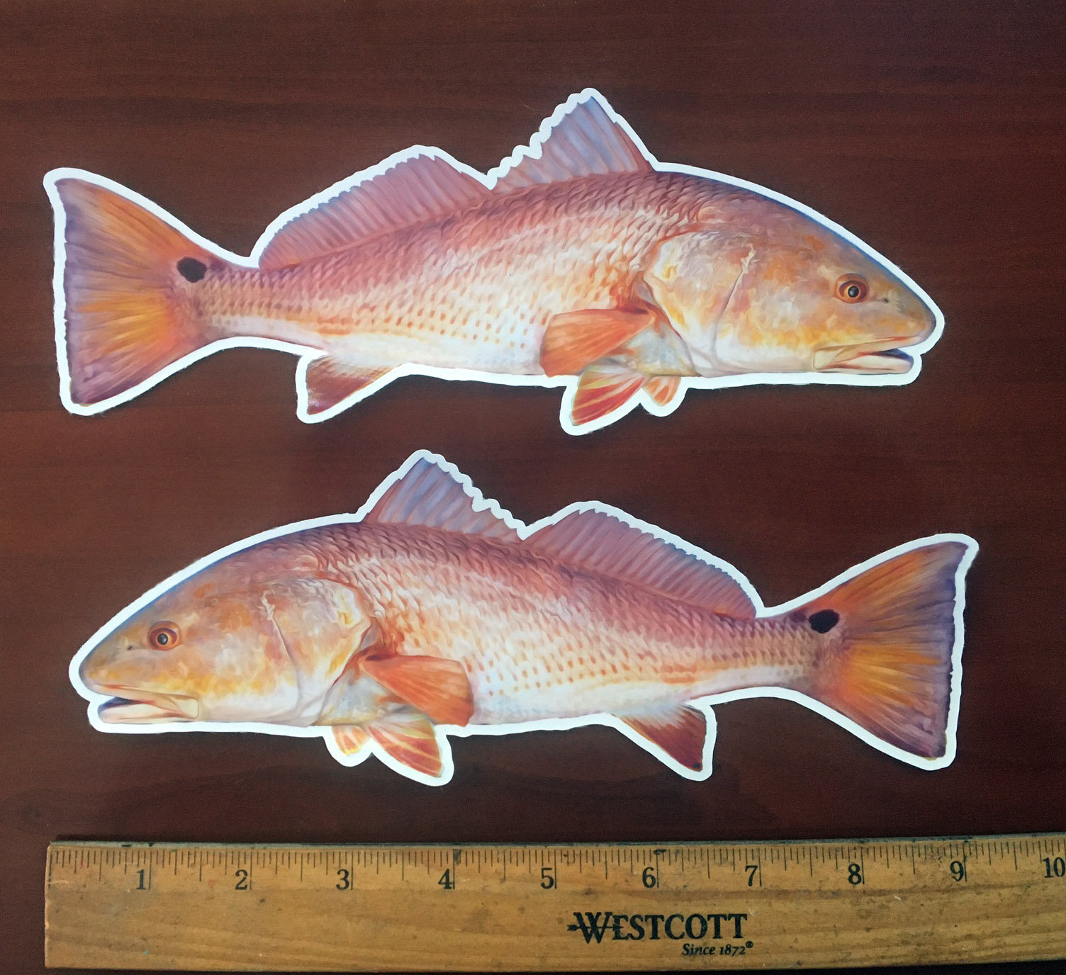 Redfish, Redfish Decal, Redfish Sticker, Fishing Decal - Etsy