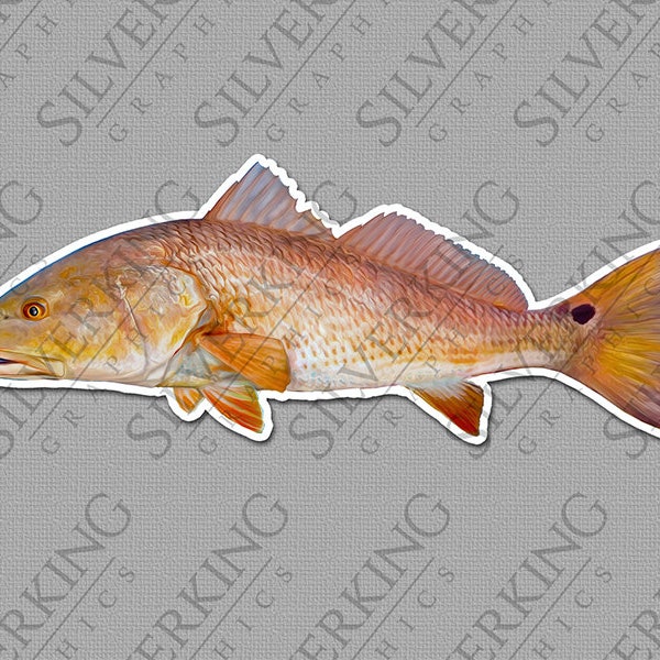 Redfish - Etsy