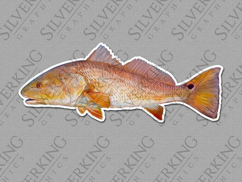 Redfish, Redfish Decal, Redfish Sticker, Fishing Decal - Etsy