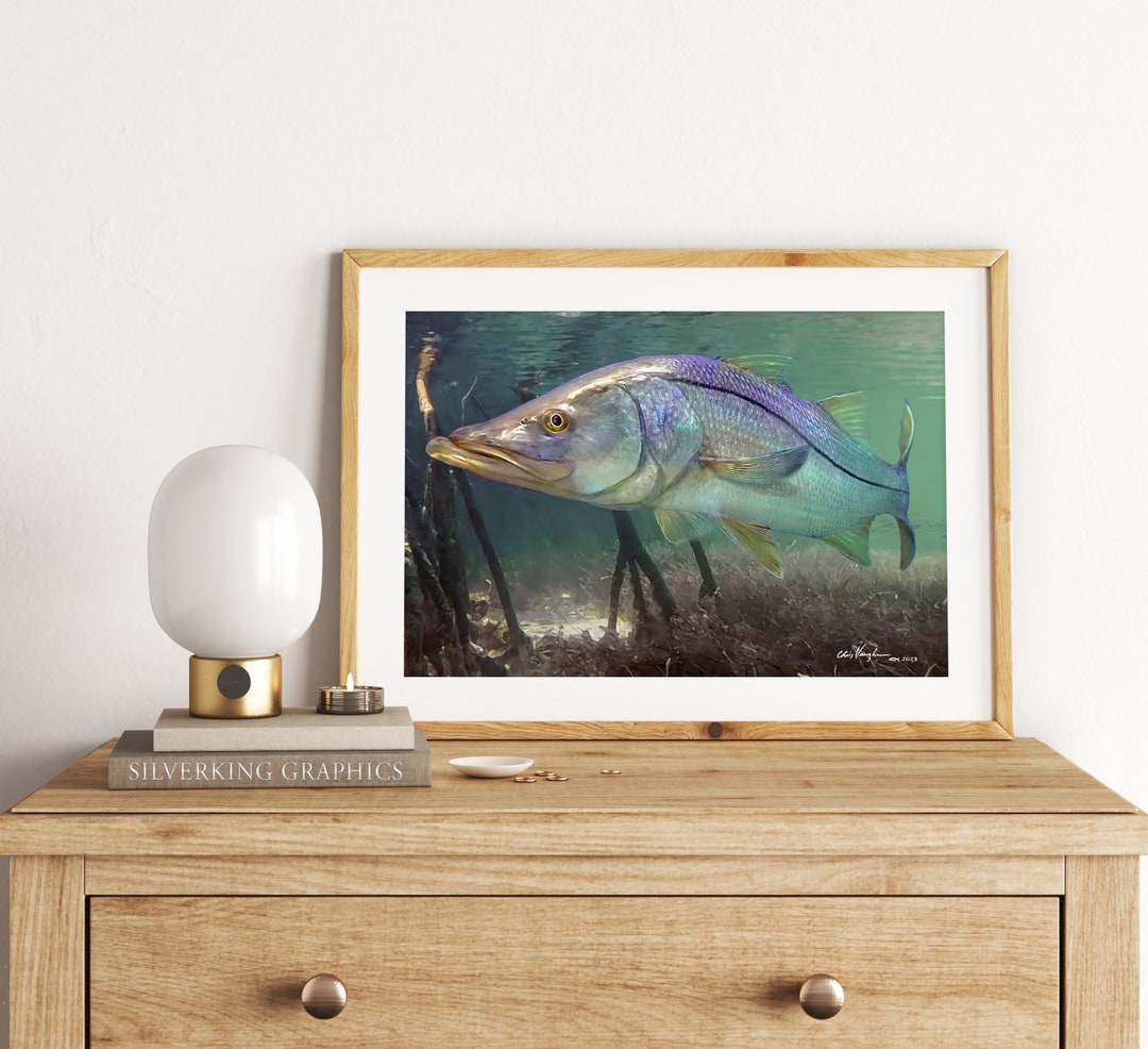 Snook, Dogfish, Snook Print, Snook Poster, Coastal Art, Fine Art Print ...