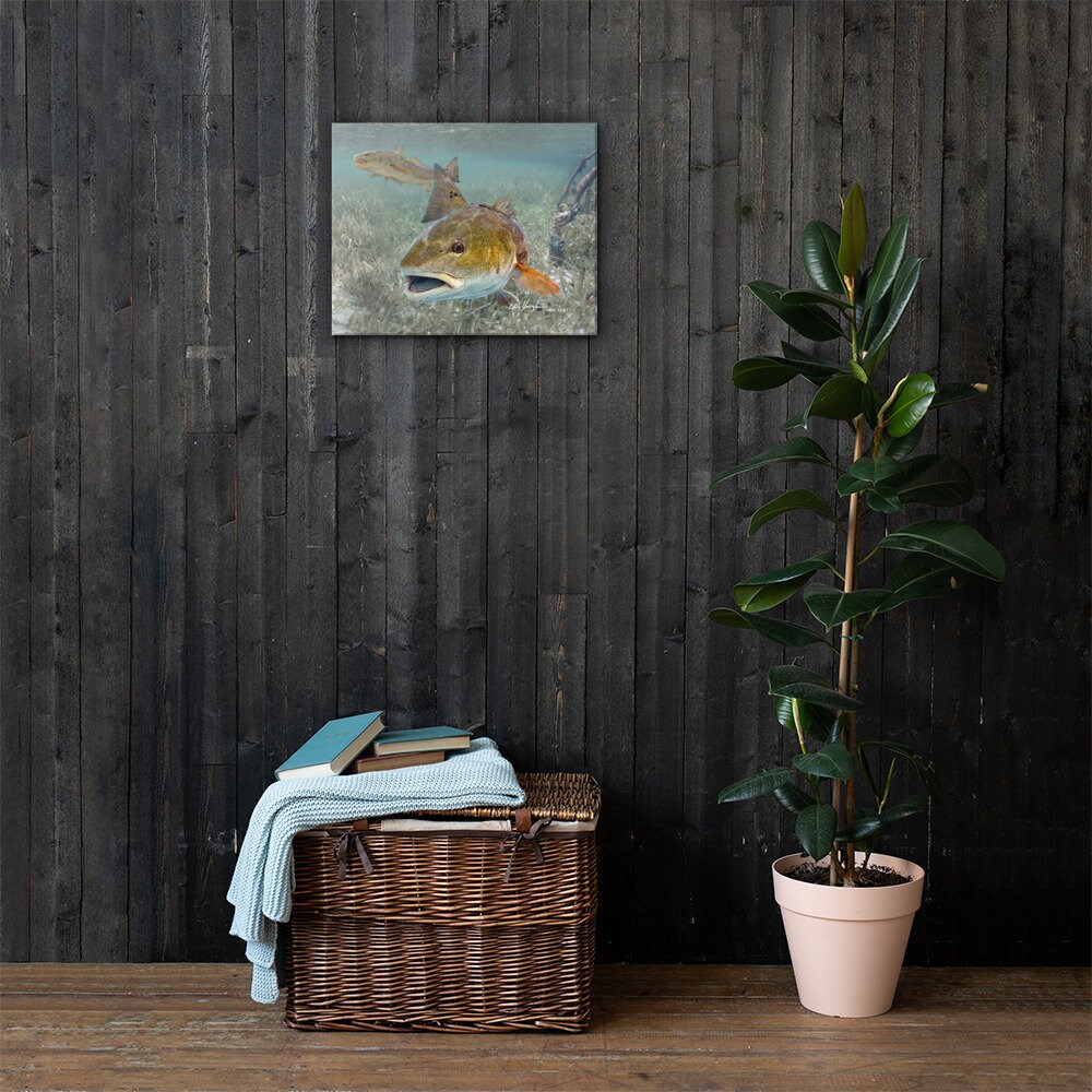 Redfish Painting, Redfish Canvas Print, 20" X 16" Gallery Wrapped ...