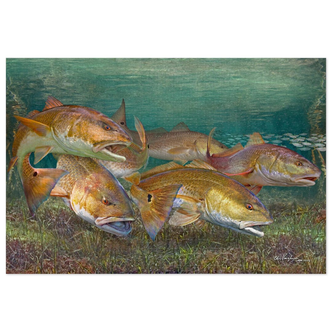 Redfish School Jigsaw Puzzle With Keepsake Tin Box - Etsy