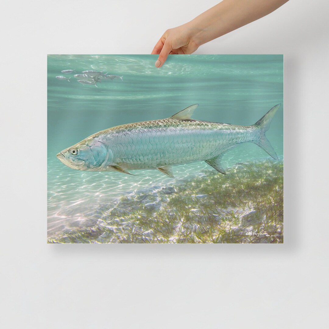 Tarpon Print Silverking Tarpon Poster Coastal Art Fine Art Print Fish ...