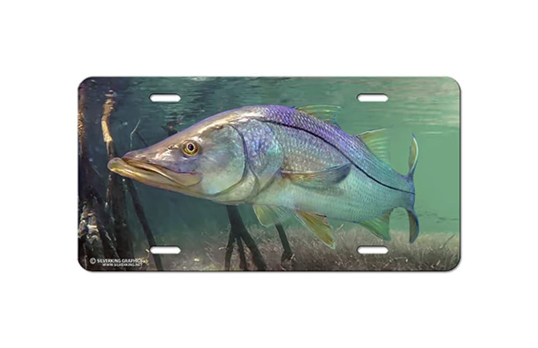 Snook License Plate, Fisherman Decorative License Plate, Snook Fishing ...