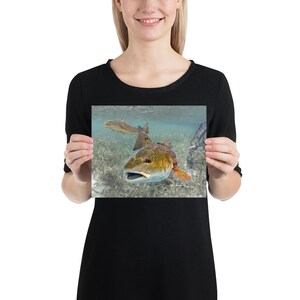 Redfish Painting, Redfish Giclee Paper Print, Fish Art, Florida Fishing ...