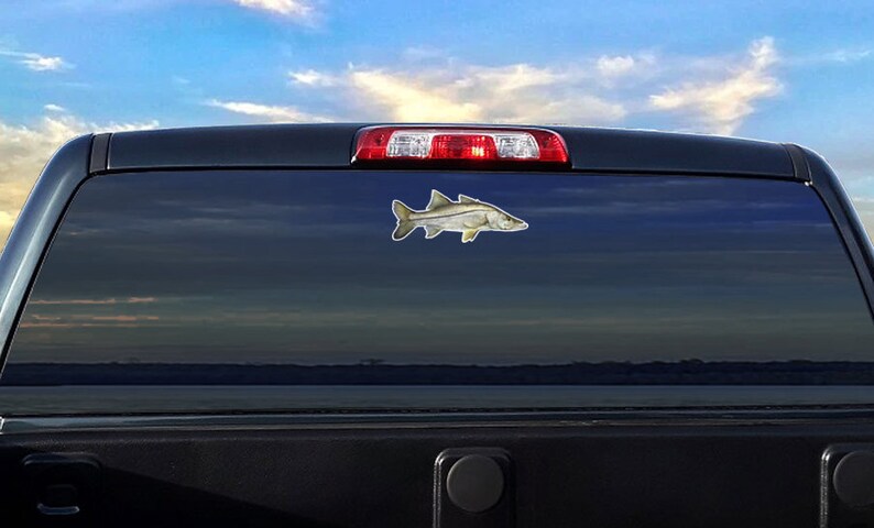 Snook, Snook Decal, Snook Sticker, Fishing Decal - Etsy