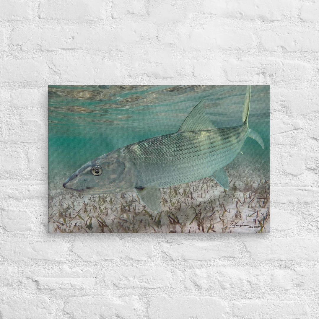 Bonefish Painting, Bonefish Canvas Print, Gallery Wrapped Canvas, Bone ...