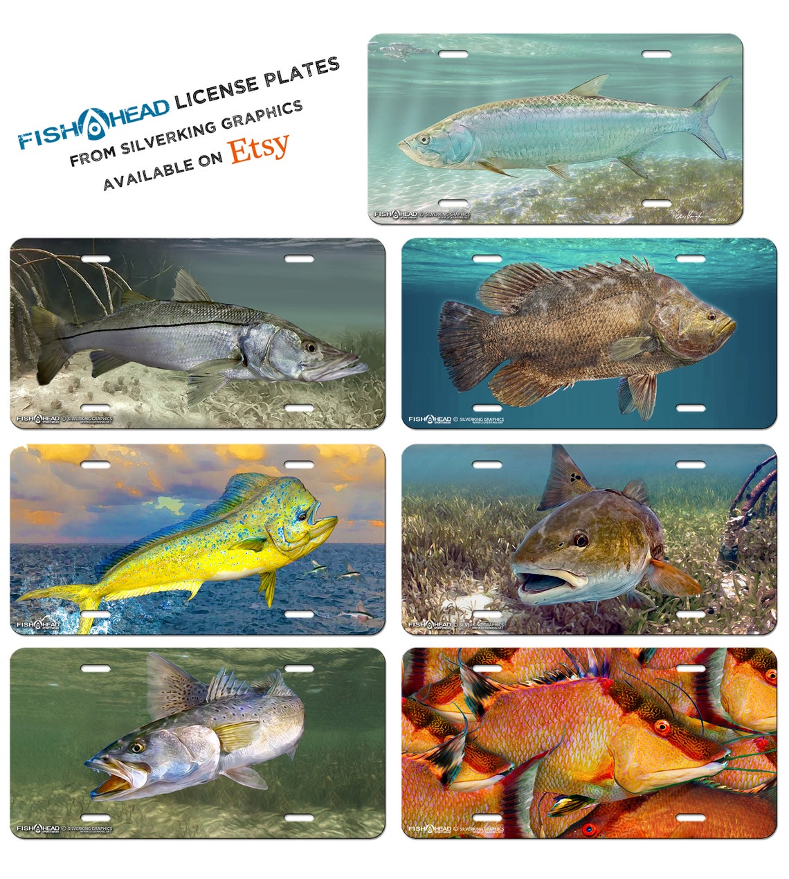 Hogfish License Plate Hogfish Decorative License Plate - Etsy