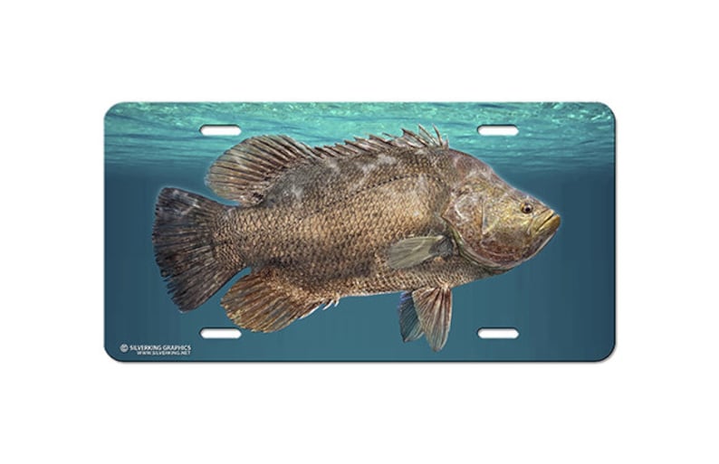 Fishing License Plate Fisherman Tripletail Decorative License Plate ...